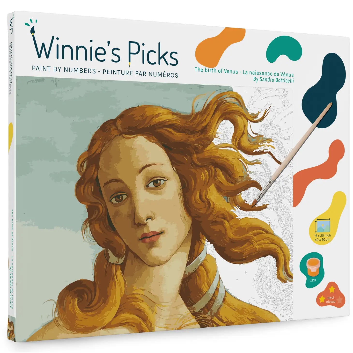 The Birth of Venus Paint By Numbers – Ma Maison + Co.